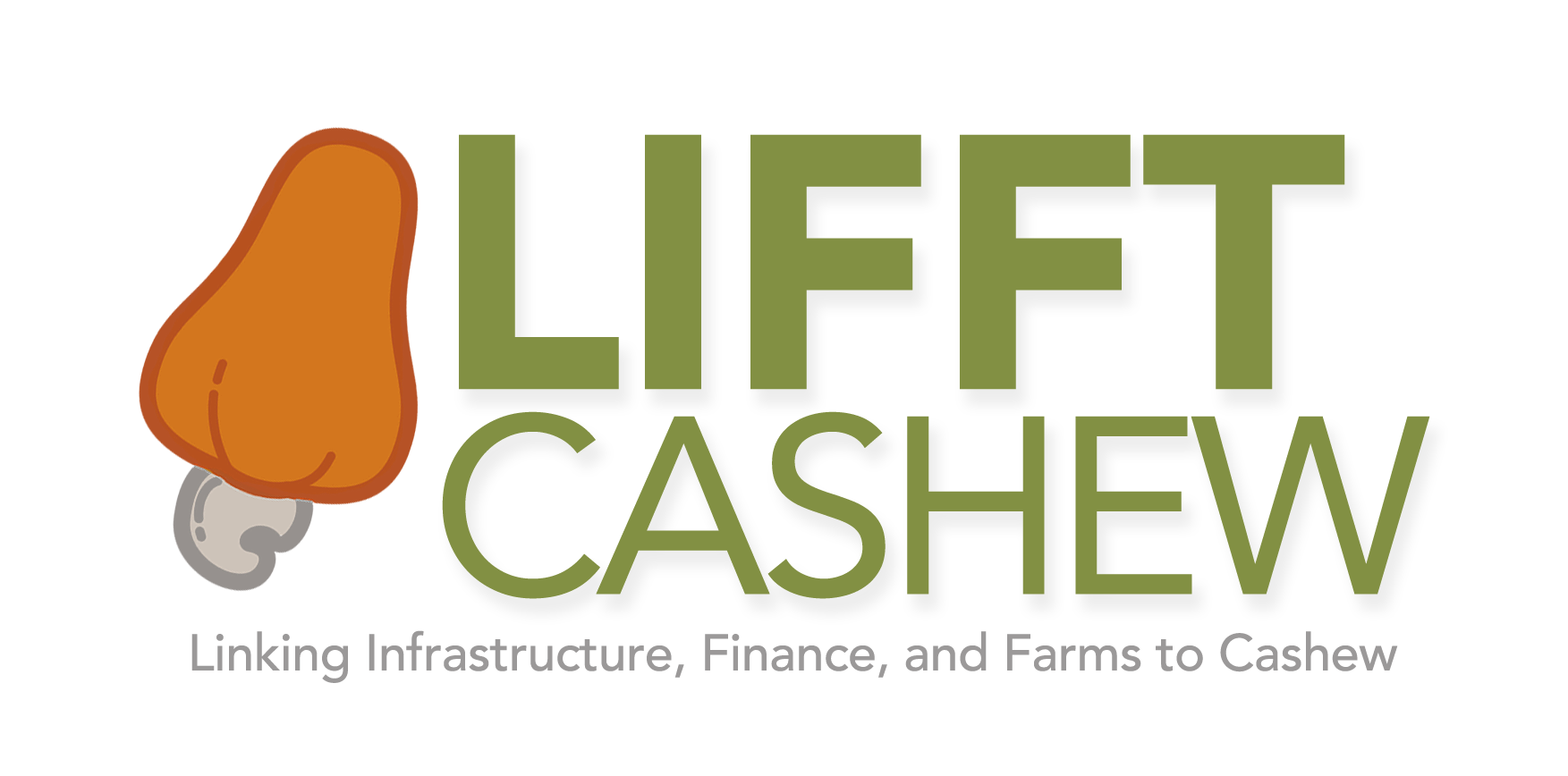 Project - LIFFT Cashew Project