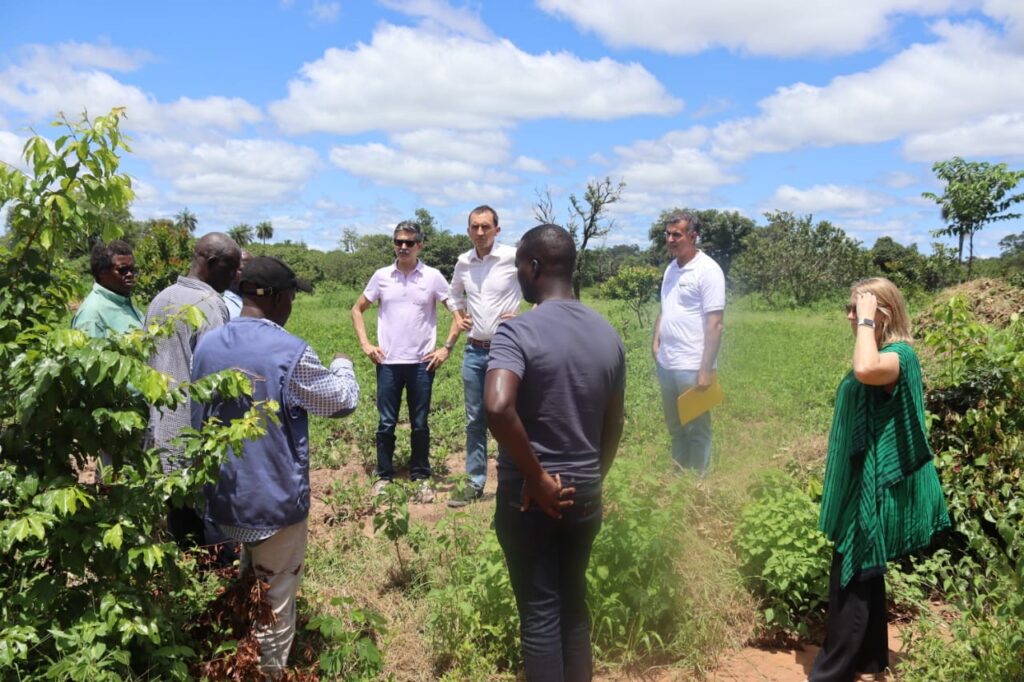 USDA team visits Bissau - LIFFT Cashew Project
